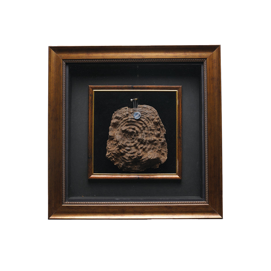 جميع المنتجات – Page 25 – سكة الطيب