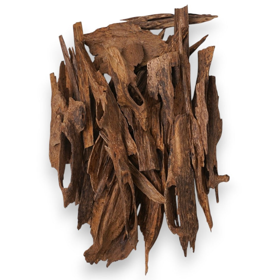 outlet – سكة الطيب