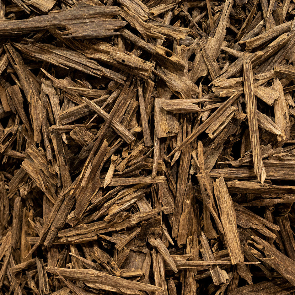 عروضنا – سكة الطيب